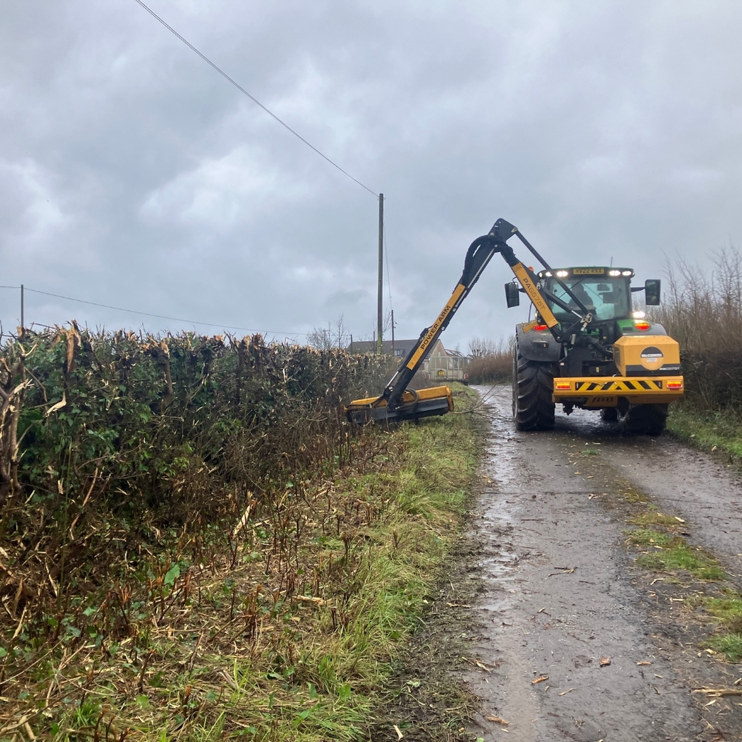 Dormice at Yew Tree Farm SNCI | Avon Wildlife Trust